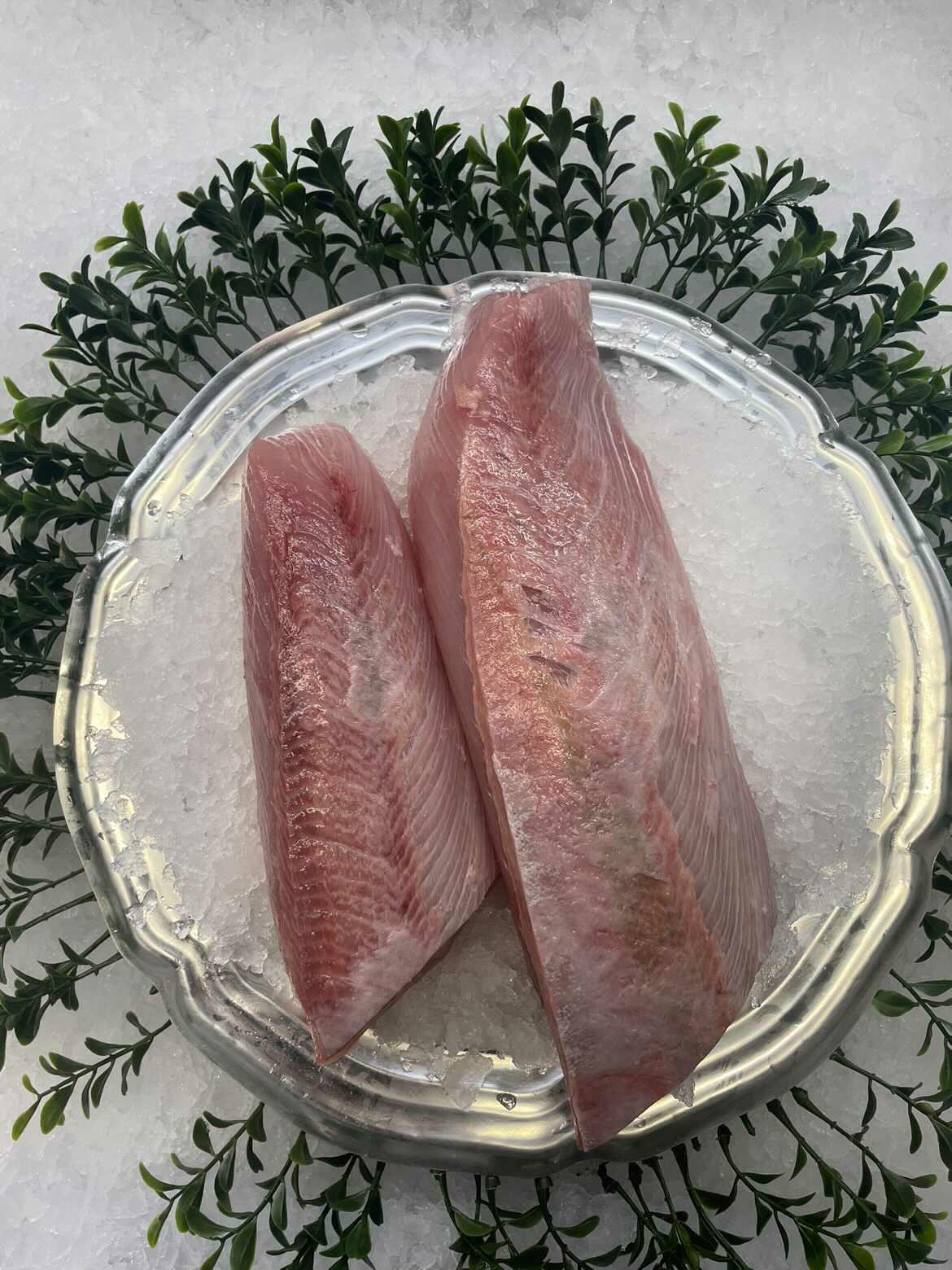 Yellow Tail Kingfish Fillet | Guytons